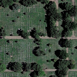 Memorial Park Cemetery Burial Lookup