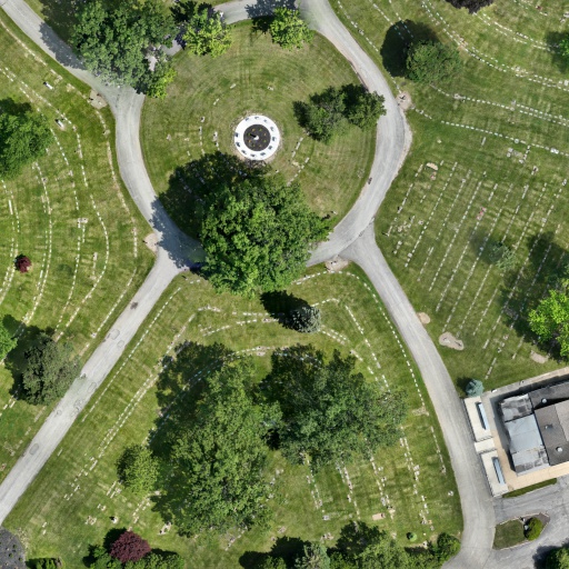 Calvary Cemetery Burial Lookup